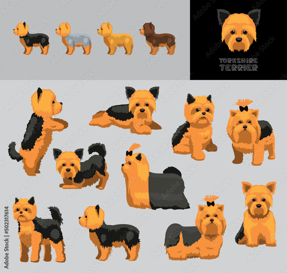 Dog Yorkshire Terrier Cartoon Vector Illustration Color Variation Set ...