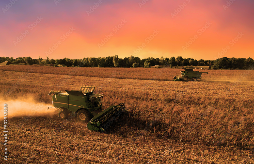 John Deere combine harvester working on hay making on sunset. Farm ...