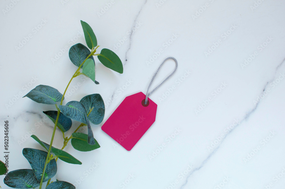 Pink clothing tag, blank label layout template with ribbon. An empty ...