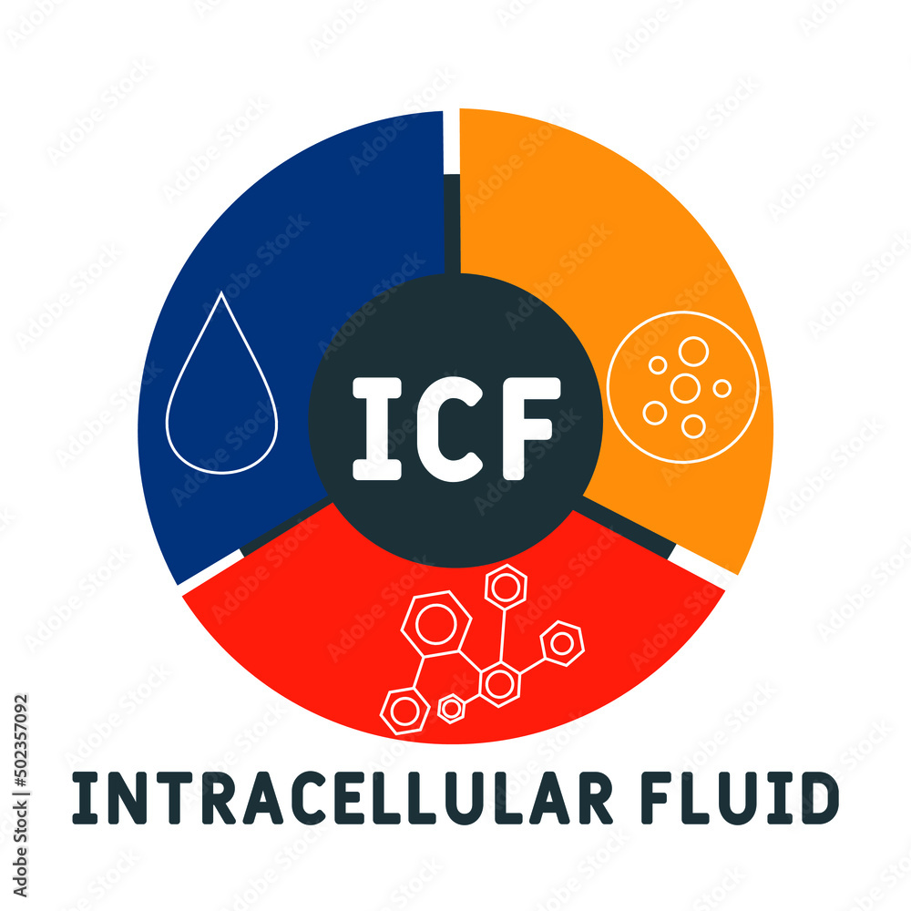 ICF - intracellular fluid acronym. business concept background. vector ...
