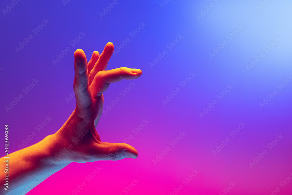 Human hand gesturing isolated on gradient purple-pink background in ...