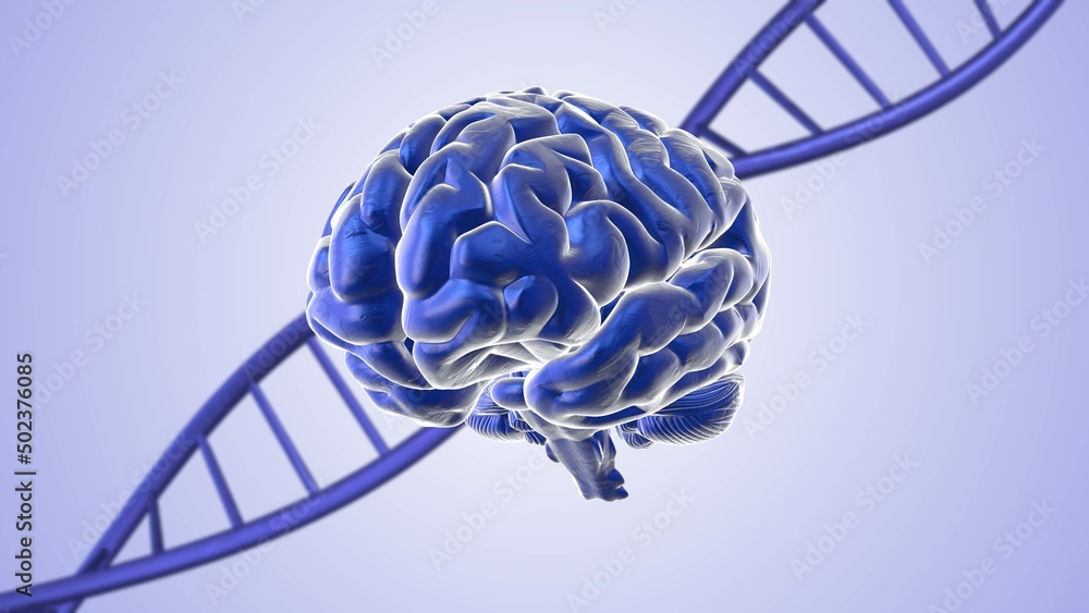 Human brain 3d-medical background with dna Stock Illustration | Adobe Stock