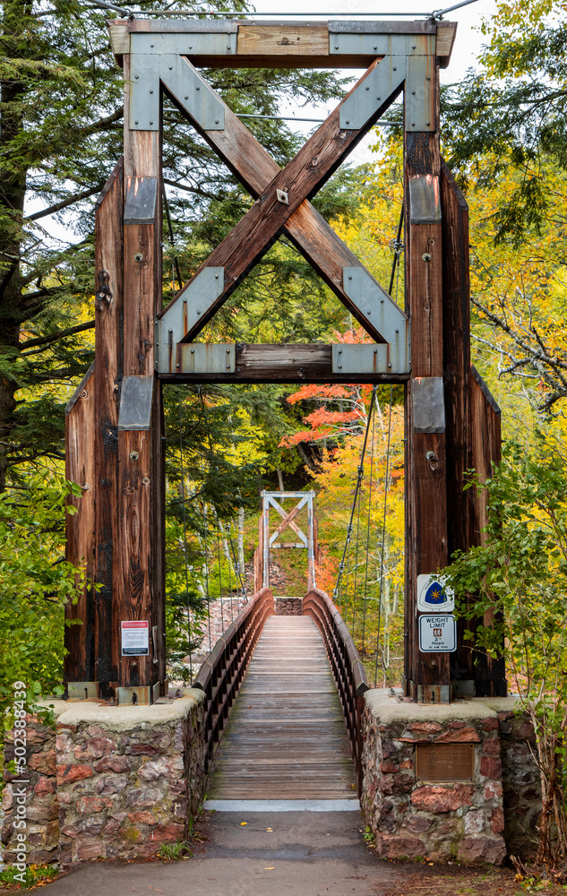 Wooden bridge in a forest covered in yellowing plants in autumn in ...