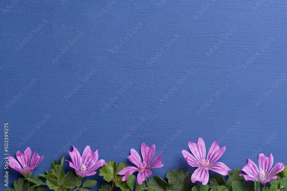 Flores sobre fondo azul con espacio para recurso gráfico, invitacion ...