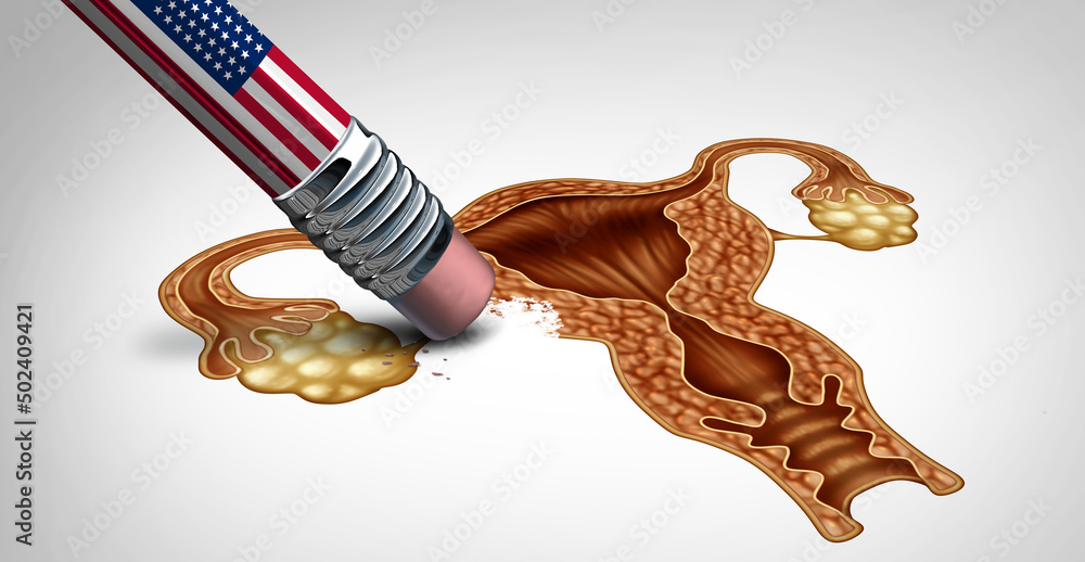 United States Reproductive Rights Loss and abortion laws or US ...