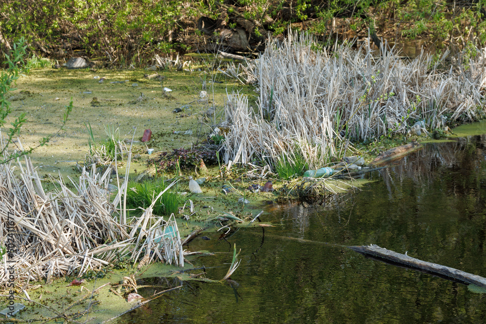 Contaminated water and a pile of smelly and toxic residues. Ecological ...