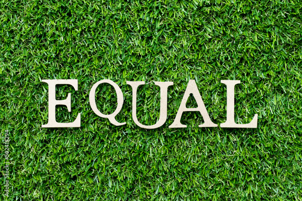 Wood alphabet letter in word equal on green grass background Stock ...