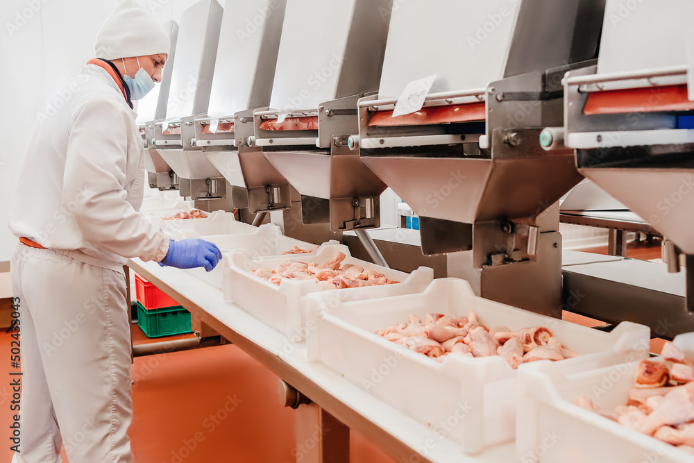 Containers on a conveyor line with raw chicken drumstick.Factory for ...