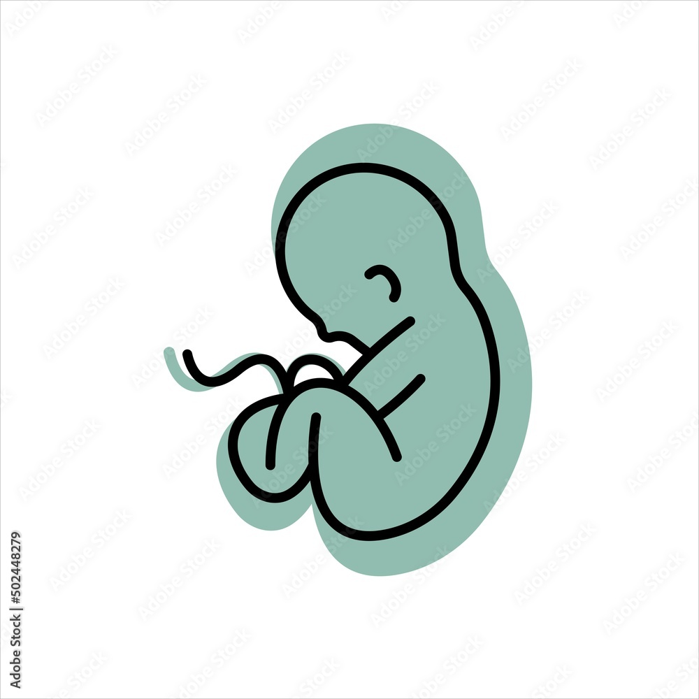 Development of the human embryo in the womb. Trendy flat isolated color ...