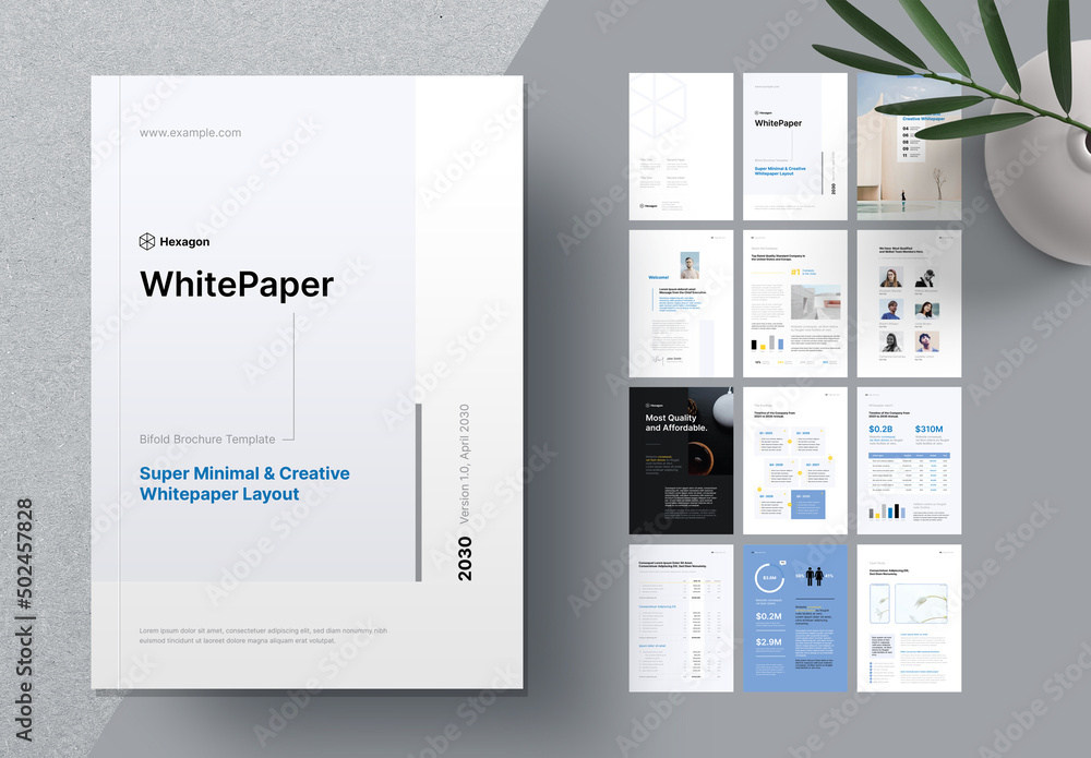 White Paper Layout Stock Template | Adobe Stock
