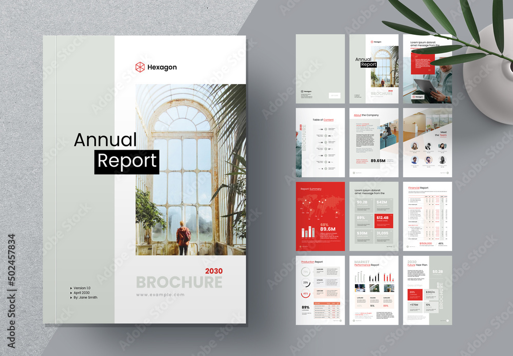 Annual Report Layout Stock Template | Adobe Stock