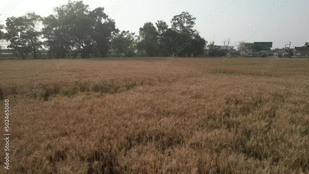 SA Gardens and Lahore Smart City Aerial View of Pakistani Farms, kala ...