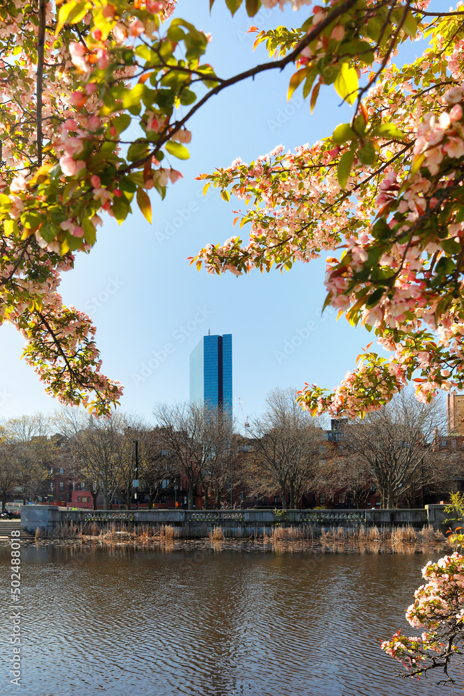 Boston Charles River Esplanade on a sunny spring day with cherry ...