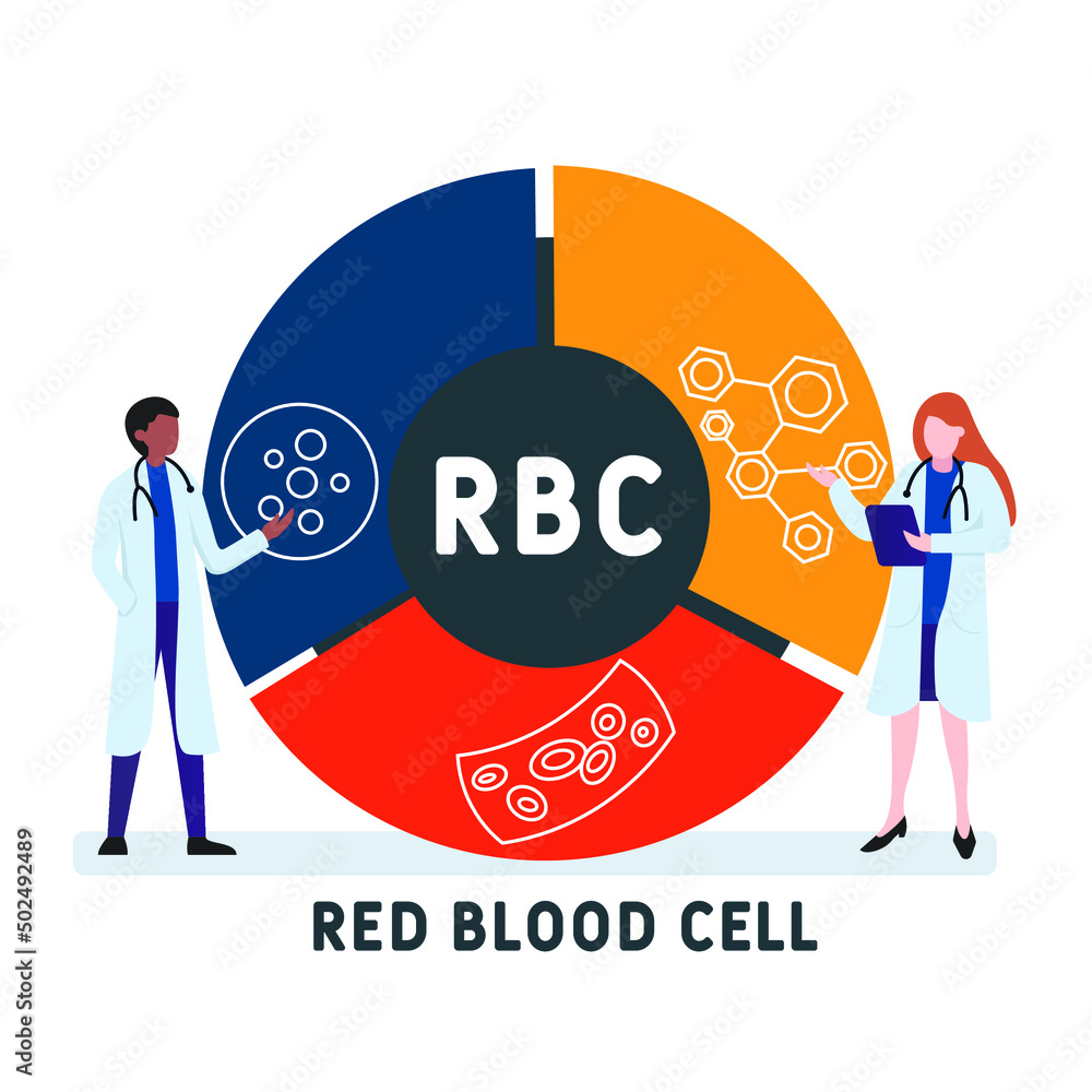 Vecteur Stock RBC - Red Blood Cell acronym. medical concept background ...