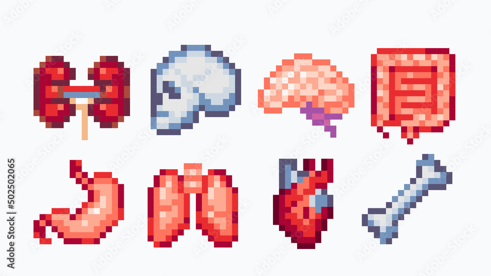 Fototapeta Human organs and bones pixel art set. Anatomical system ... Fototapeta Human organs and bones pixel art set. Anatomical system ...