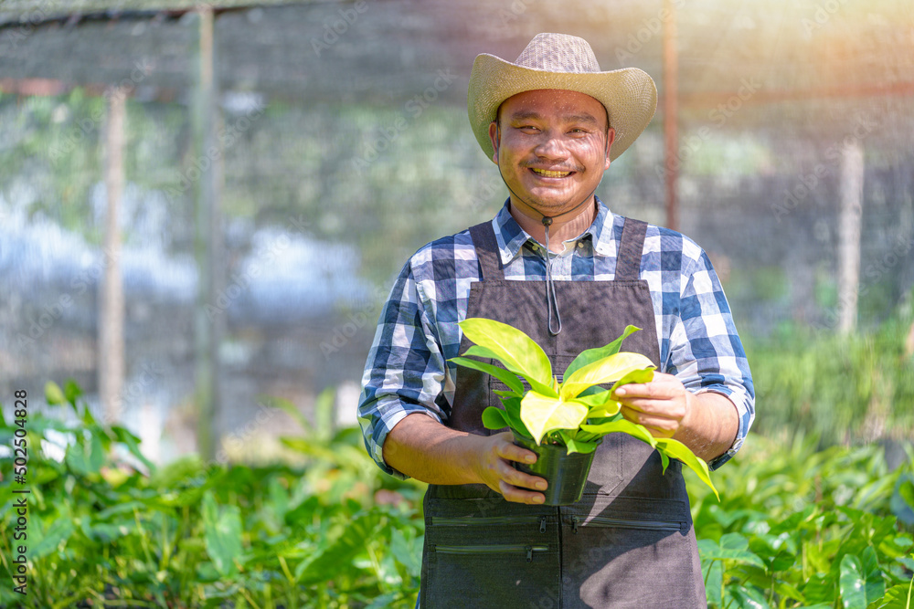 Portrait Young man farmer standing working in garden greenhouse small ...