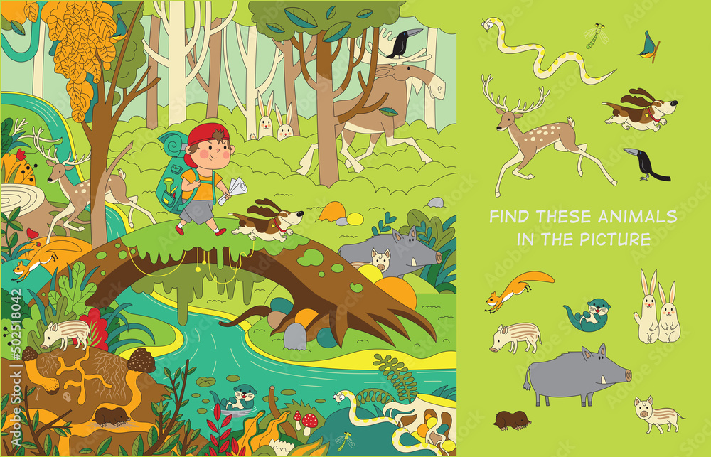 A boy with a devoted dog travel through the forest. Find the animals in ...