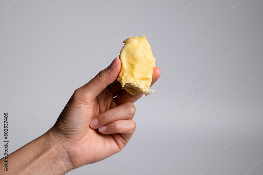 Lady hand holding a pulp of fresh durian with isolated grey background ...