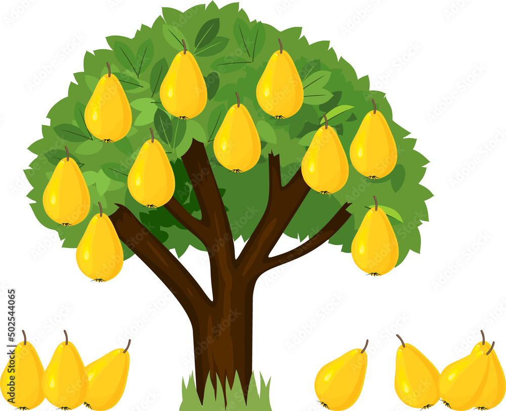 Cartoon pear tree with green crown and ripe yellow fallen pears ...