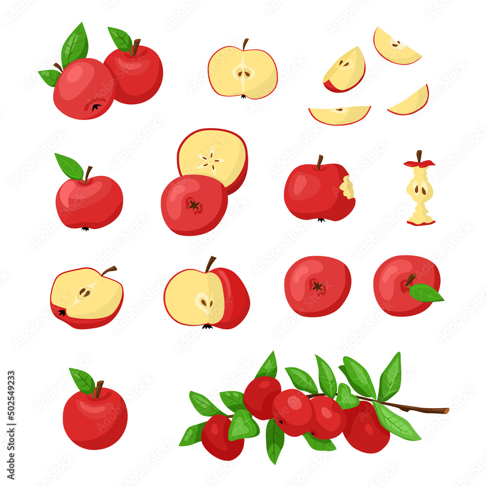 Set of red apples elements. Vector clipart illustration Stock Vector ...