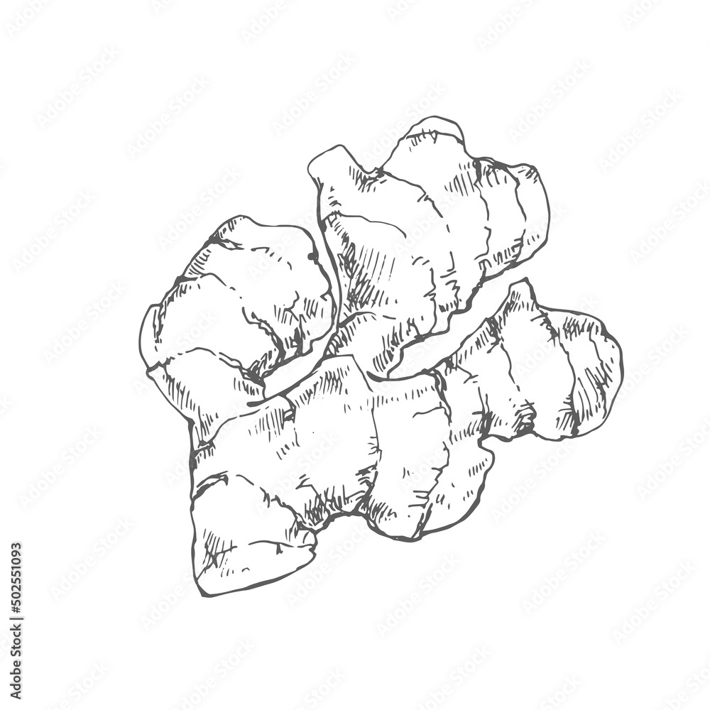 Hand drawn vector condiment flavour image template Stock Vector | Adobe ...