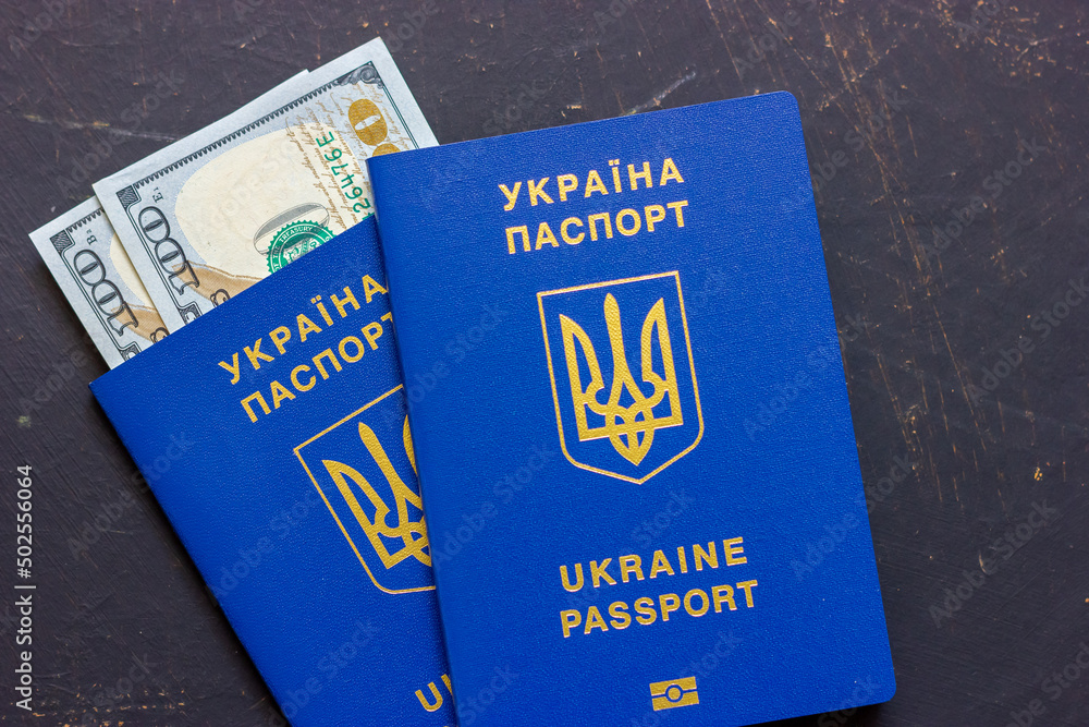 Ukrainian passport for foreign trips. Biometric passport of Ukraine ...