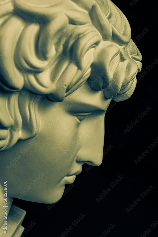 Bronze color gypsum copy ancient statue Antinous head lover of Roman ...