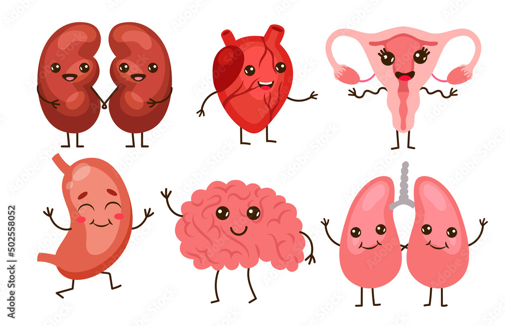 Happy comic internal human organs flat vector illustrations set. Cute ...