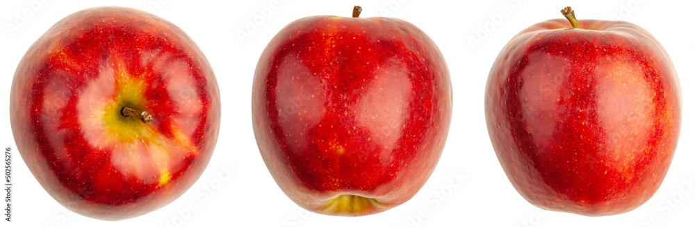Red apple, top and side view. Red apple with tail isolated on white ...
