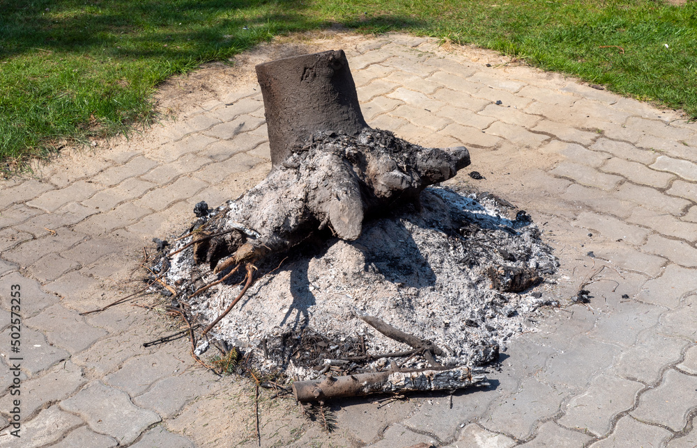 Old fire pit with charcoal and ash in the garden Stock Photo | Adobe Stock