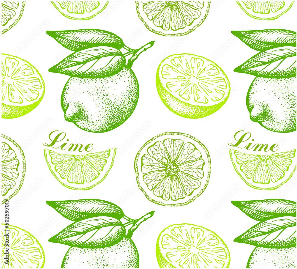 Sketch hand drawn pattern of lime with green leaves isolated on white ...