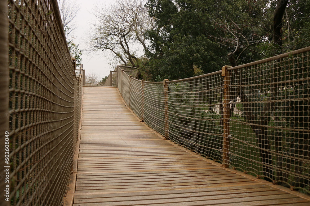 bridge, wood, nature, path, wooden, river, forest, park, landscape ...