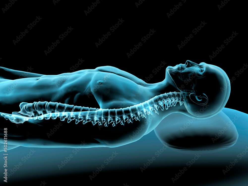 X-ray view of a man resting with view of spinal column Stock ...