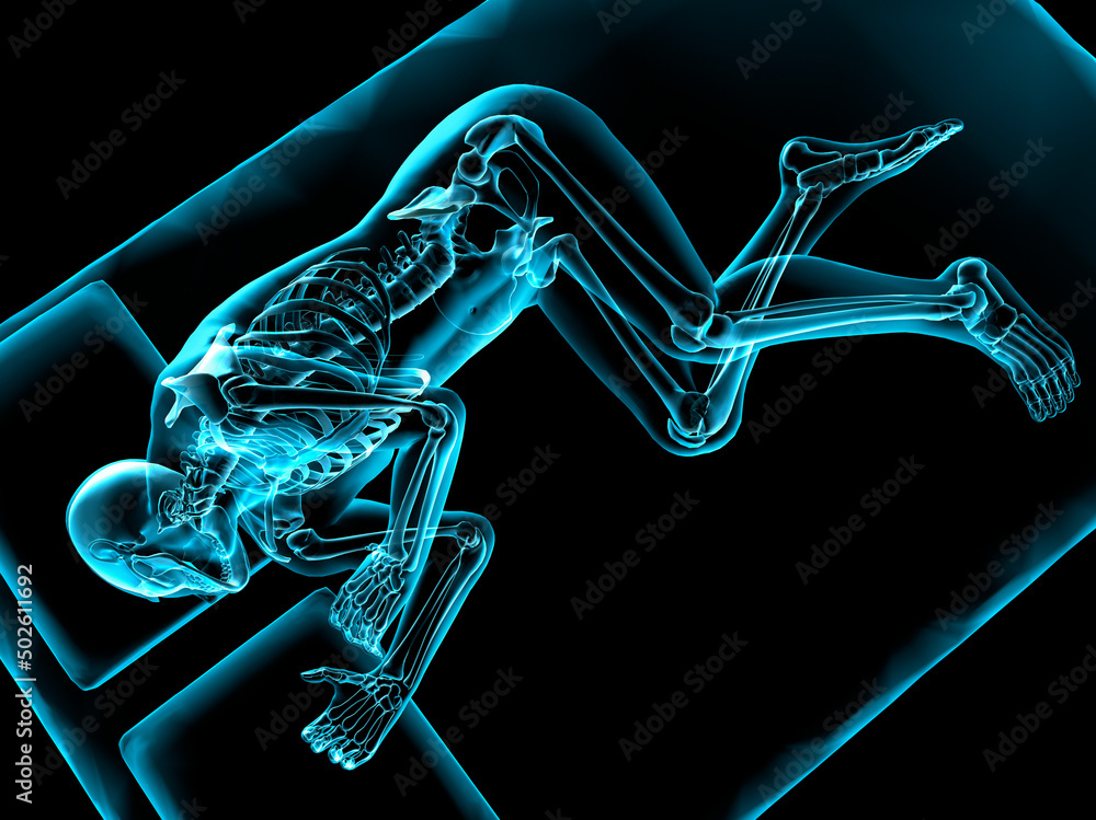 X-ray view of man sleeping Stock Illustration | Adobe Stock