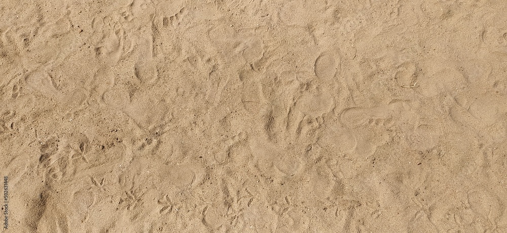 brown dry Sand texture. Sandy beach for background. Top view. Natural ...