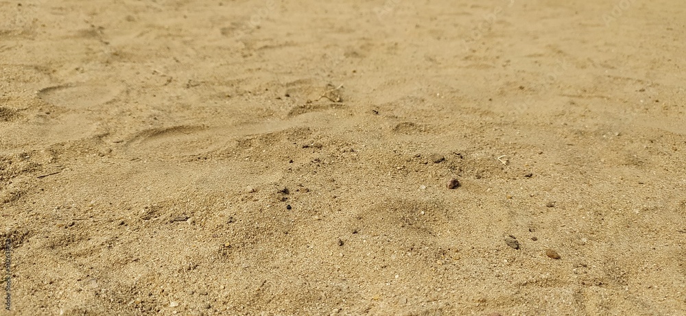 brown dry Sand texture. Sandy beach for background. Top view. Natural ...