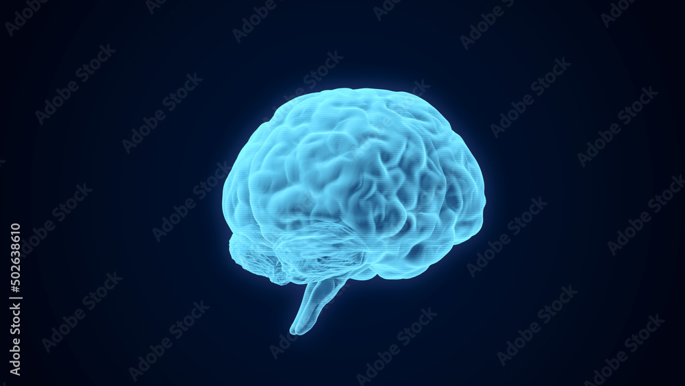 Human brain transparent scan 3D rendering, futuristic digital mind ...