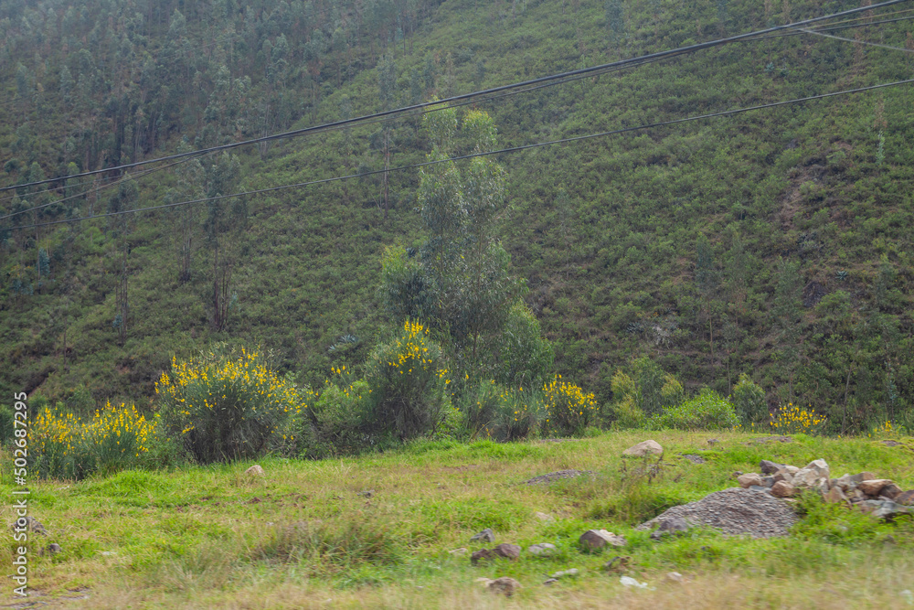 paisaje de la sierra peruana, vegetación, cerros, montañas cielo con ...