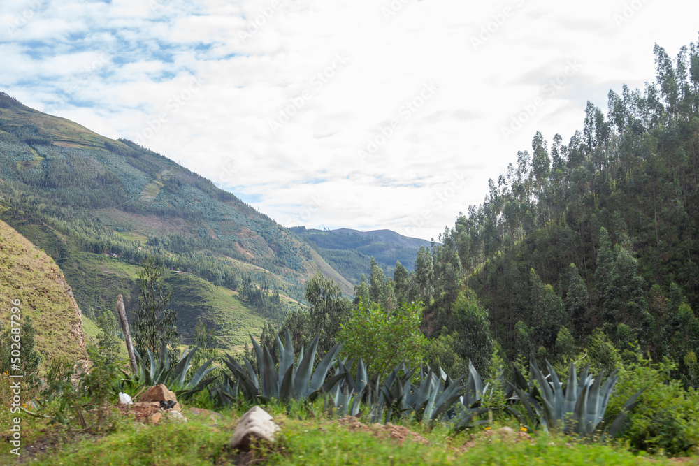 paisaje de la sierra peruana, vegetación, cerros, montañas cielo con ...