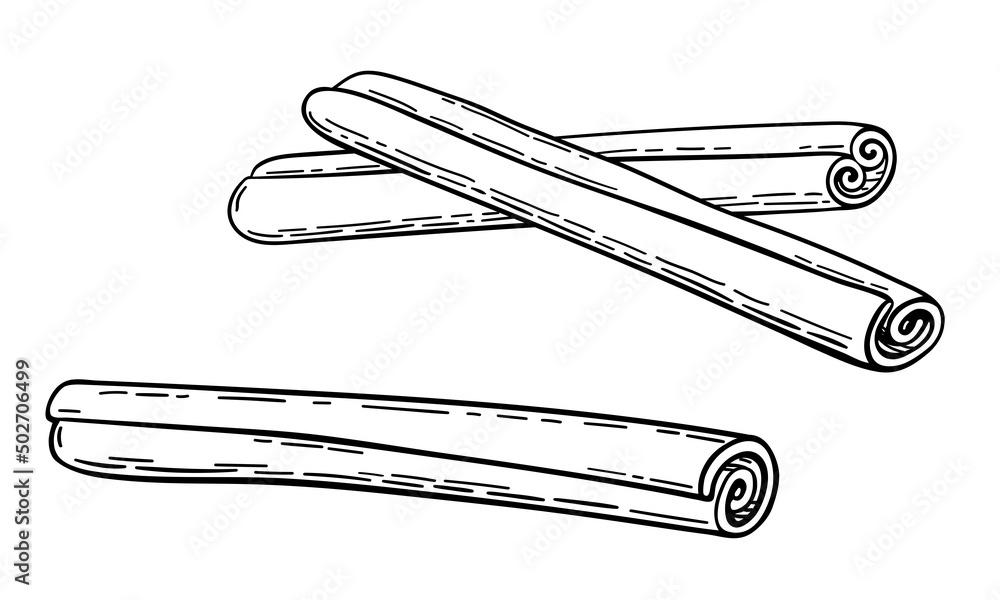 Cinnamon stick vector drawing. Hand drawn sketch of canella ...