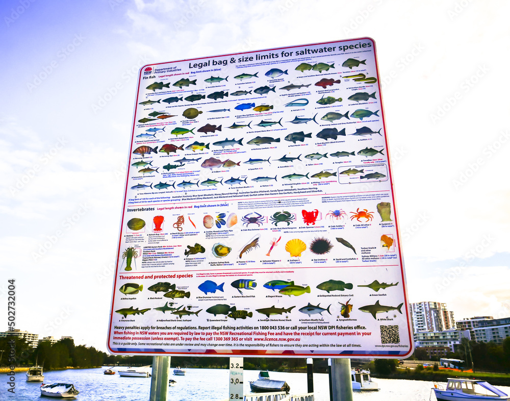 SYDNEY, AUSTRALIA. – On February 26, 2018. - New South wales Regulation ...