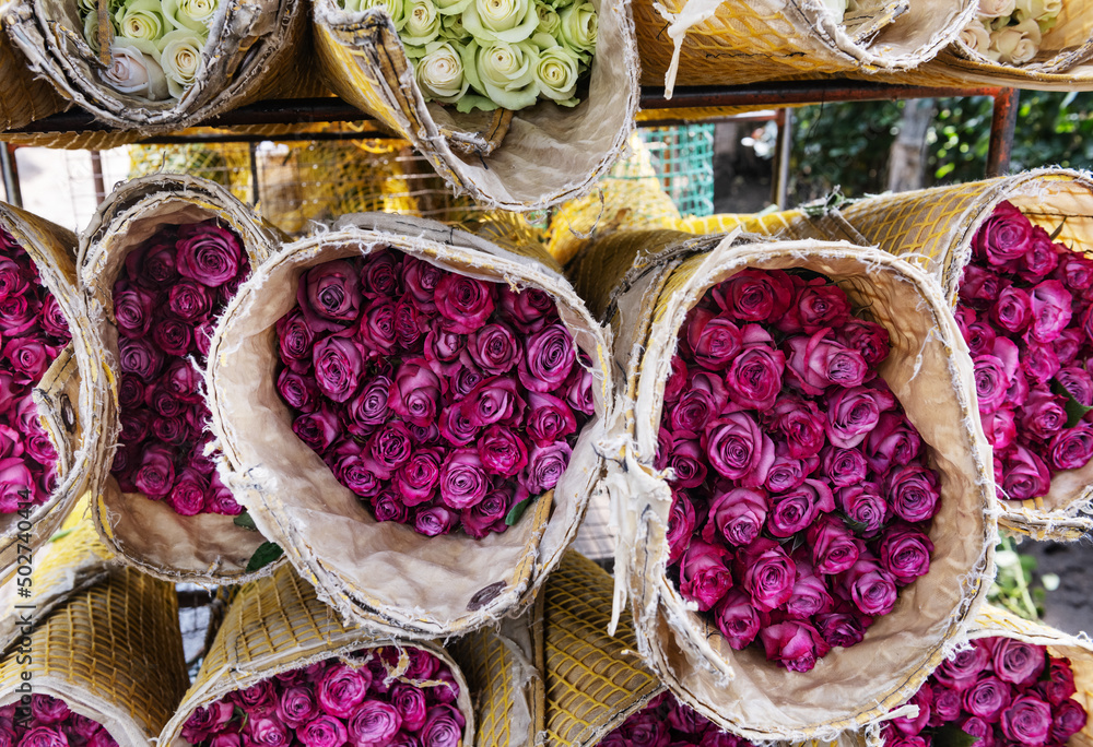Bouquets of purple roses prepared for delivery Stock Photo | Adobe Stock