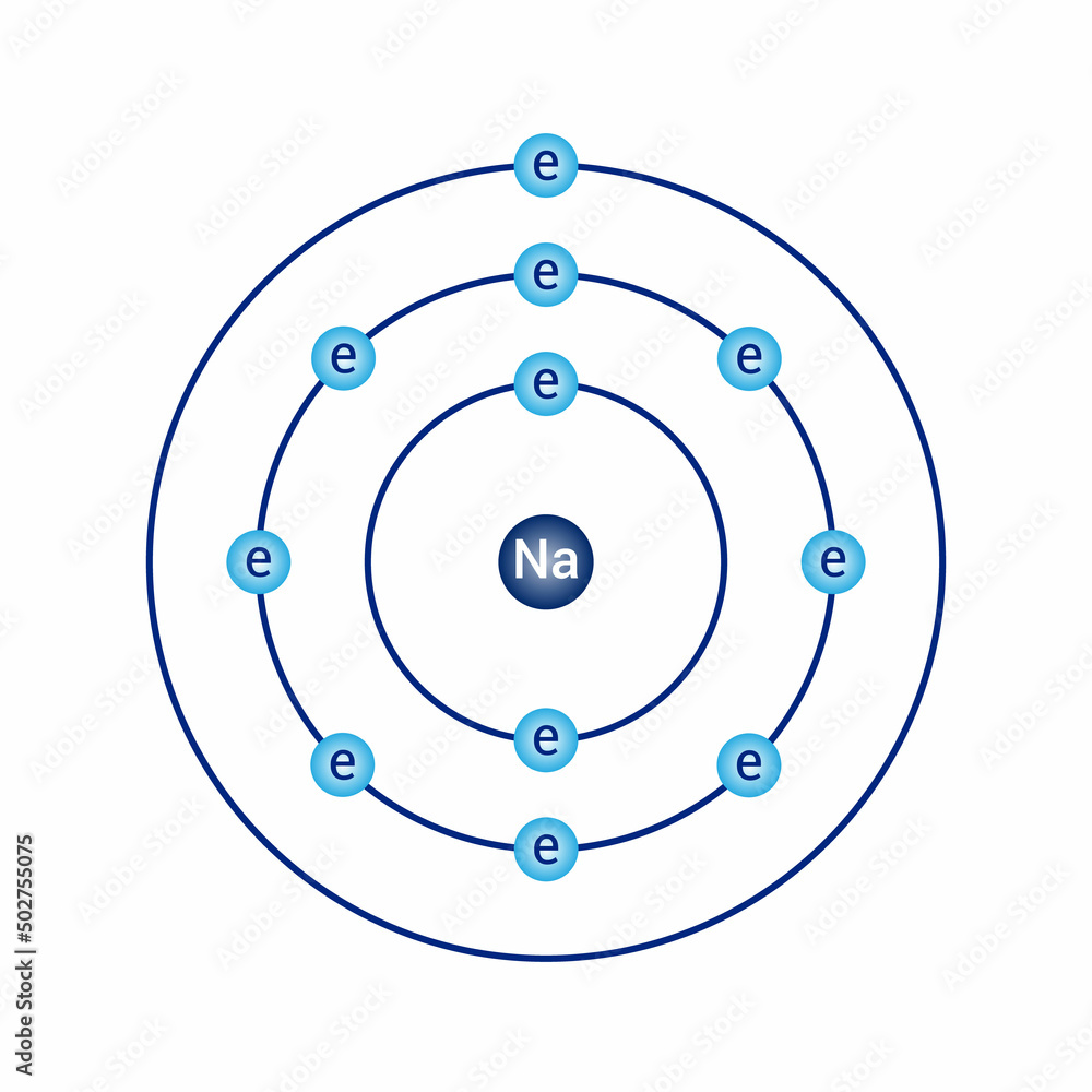 Bohr model diagram of sodium Na in atomic physics Stock Vector | Adobe ...