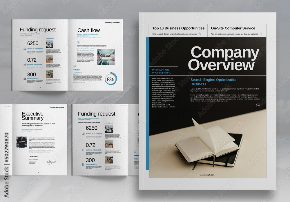 Blue Company Overview Layout Stock Template | Adobe Stock