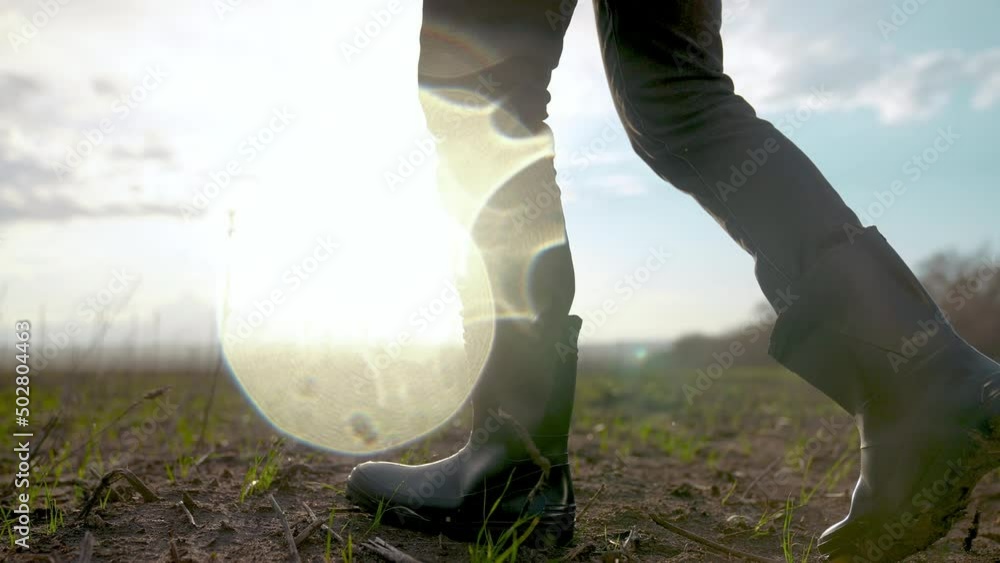agriculture. man farmer in rubber a boots walk rain along road near ...