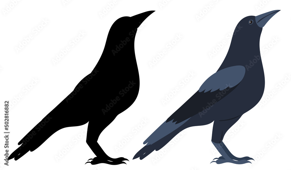 Raven, bird flat design ,isolated, vector Stock Vector | Adobe Stock