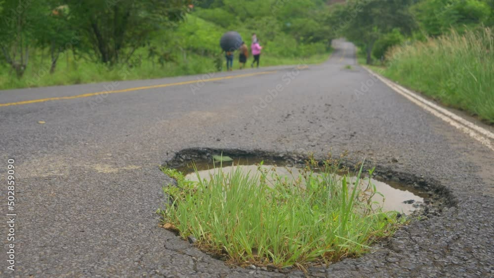 CLOSE UP: Half overgrown road pit puddle on a paved countryside road ...