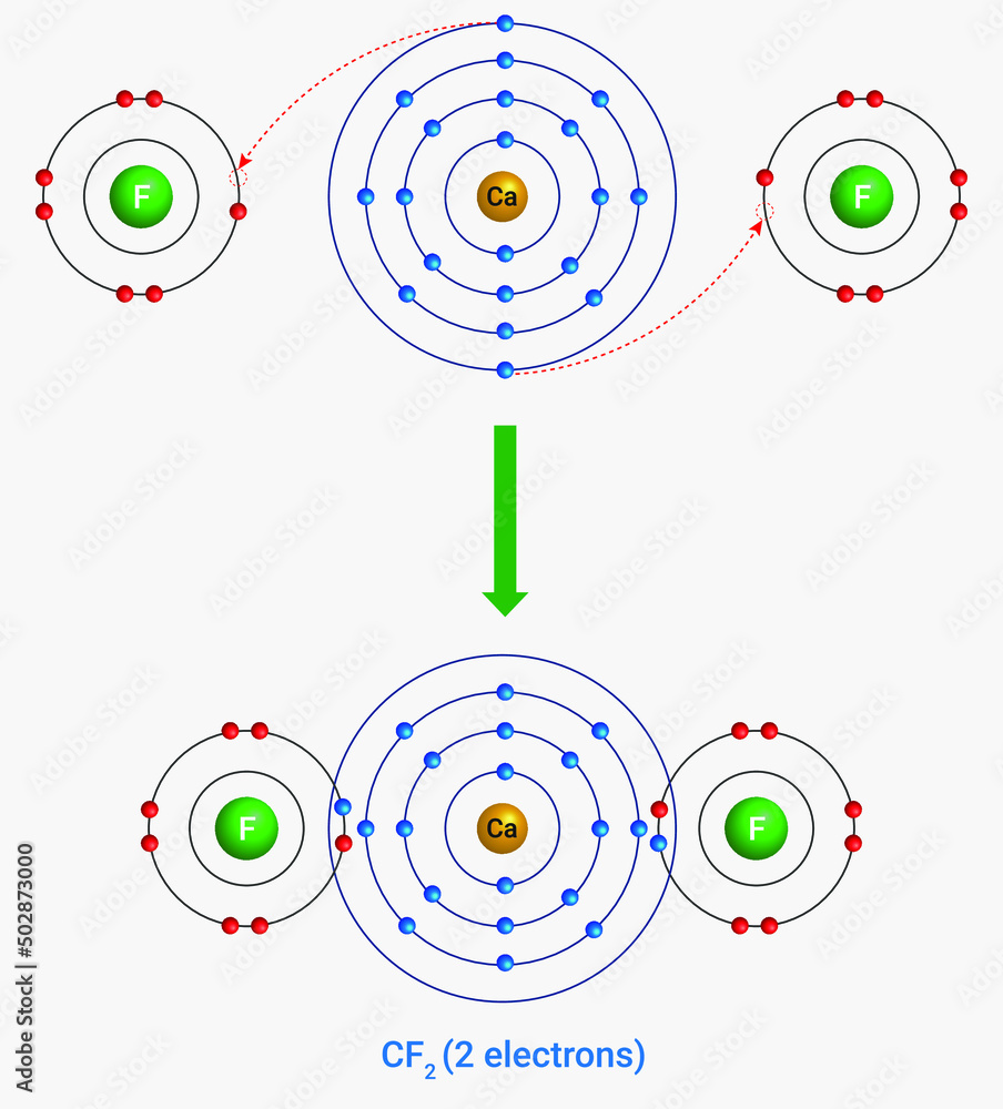 Fluorine Bohr Diagram