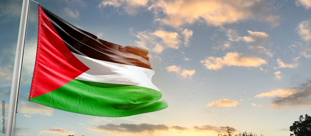 Palestine national flag cloth fabric waving on the sky - Image Stock ...