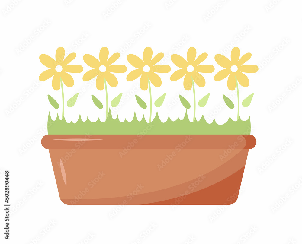 Flowers in long floral pot. Long pot with different growth plants and ...